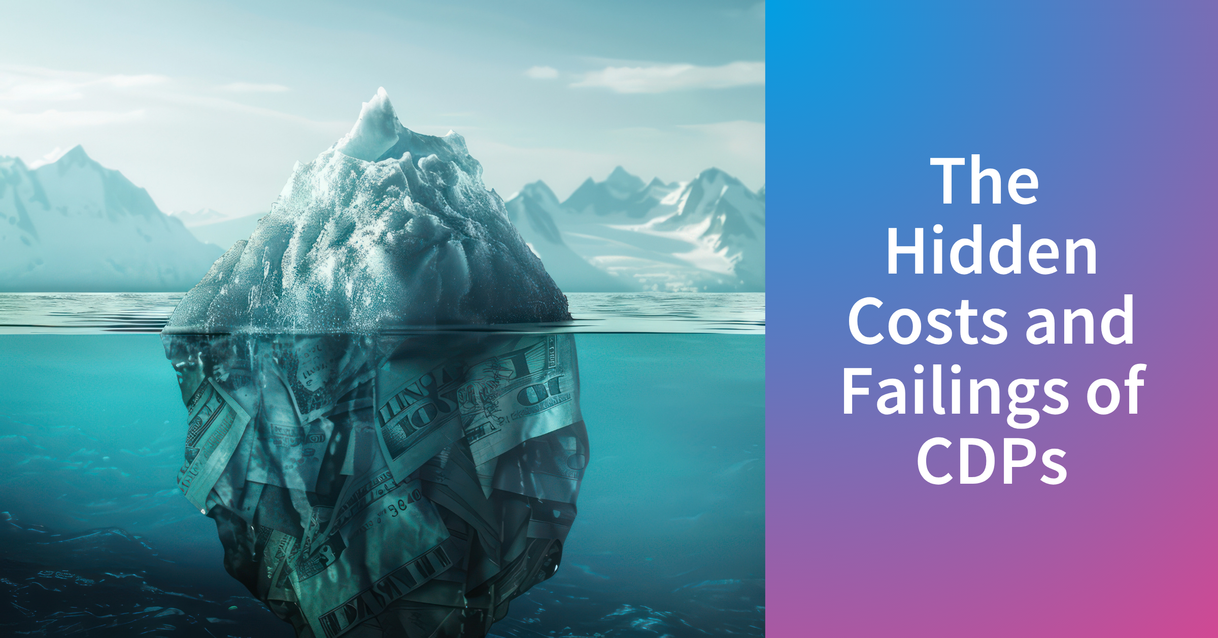 The Hidden Costs and Failings of CDPs